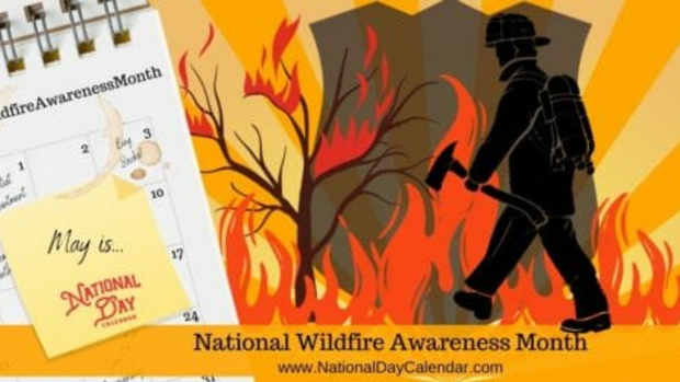 May Month - National Day Calendar