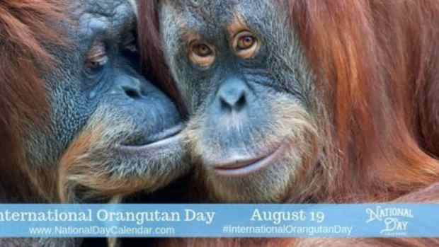 August - National Day Calendar