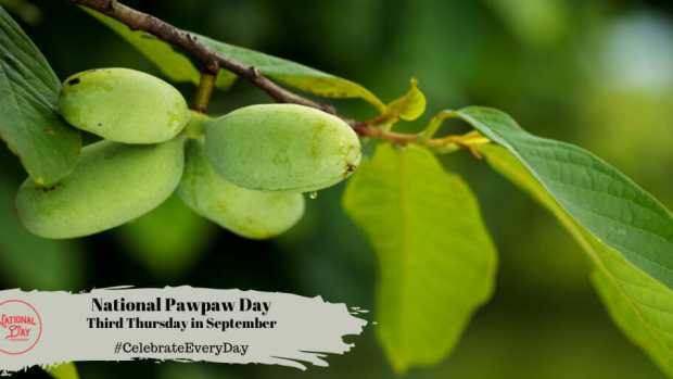 September 19 - National Day Calendar