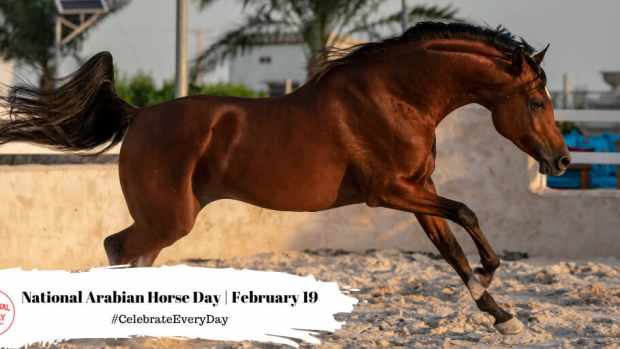 February - National Day Calendar