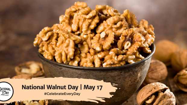 May 17 - National Day Calendar
