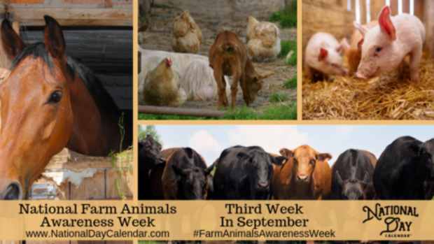 September Weeks - National Day Calendar