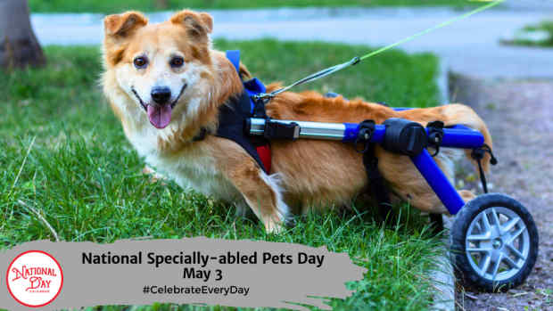 May - National Day Calendar