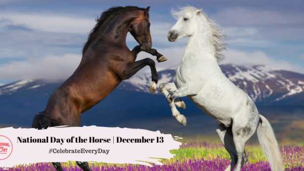 December - National Day Calendar