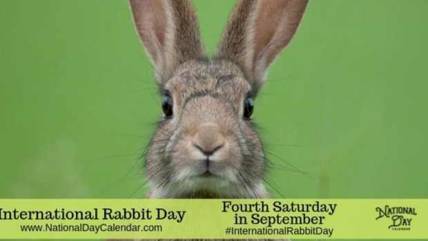 September Weeks - National Day Calendar