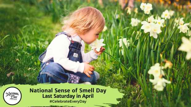 April 27 - National Day Calendar