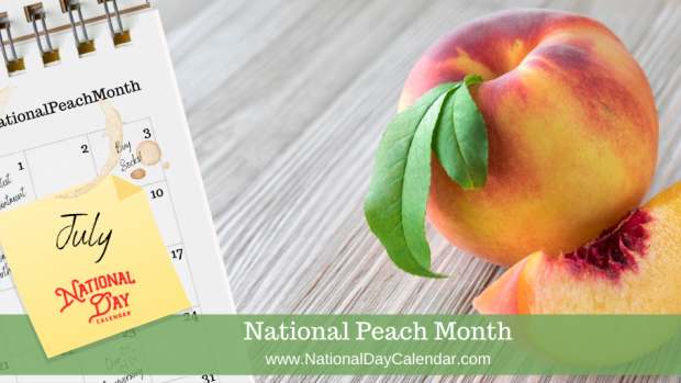 July Month - National Day Calendar