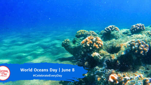 June 08 - National Day Calendar