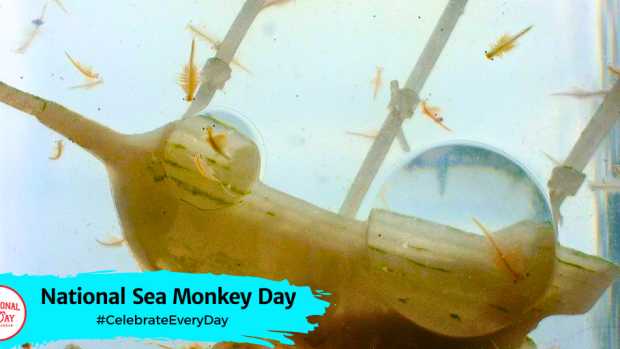 May 16 - National Day Calendar