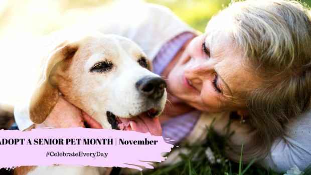 November Month - National Day Calendar