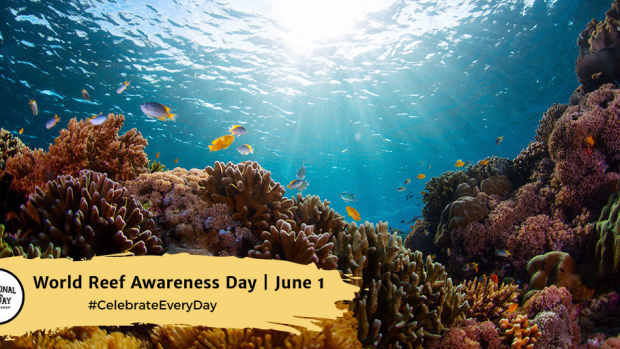 June - National Day Calendar