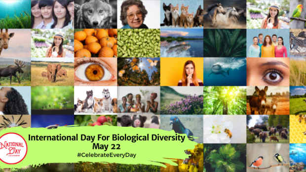 May - National Day Calendar