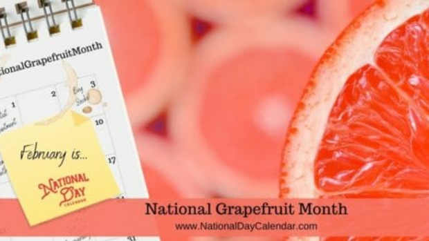 February Month - National Day Calendar