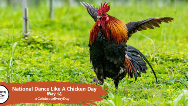 May 14 - National Day Calendar