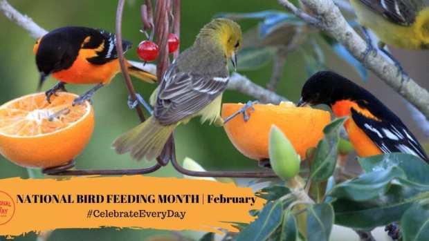 February Month - National Day Calendar