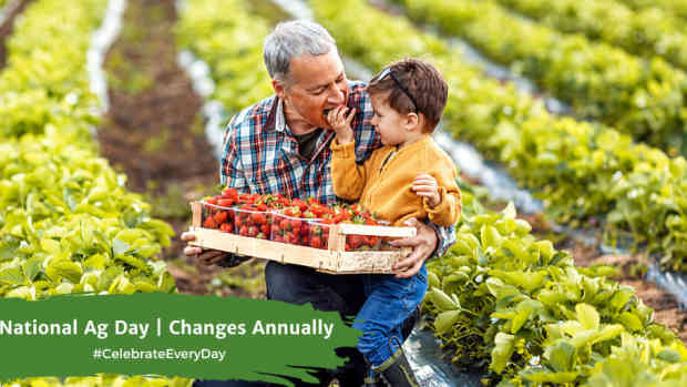 March 19 - National Day Calendar