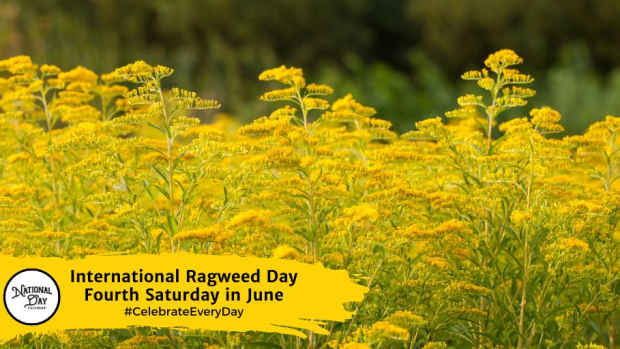 June - National Day Calendar