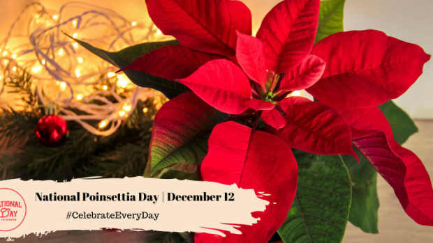 December - National Day Calendar