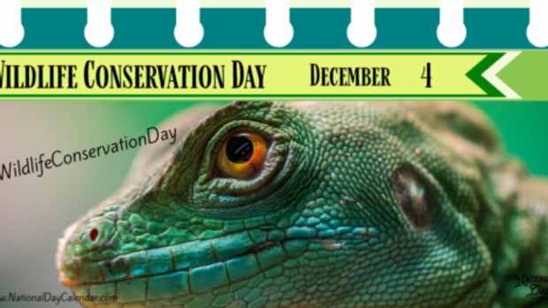 December - National Day Calendar