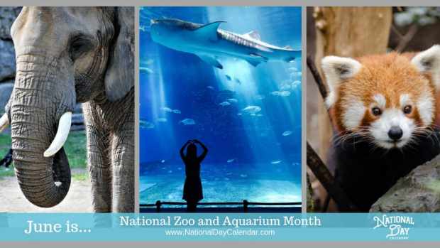 June Month - National Day Calendar