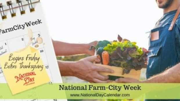 November Weeks - National Day Calendar