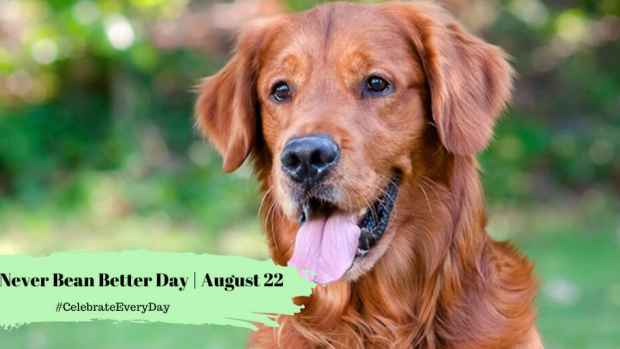 August 22 - National Day Calendar