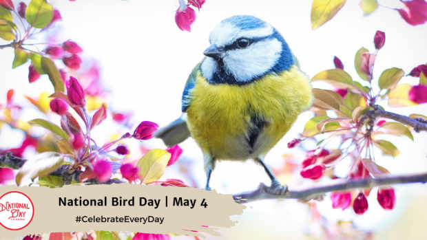 May 04 - National Day Calendar