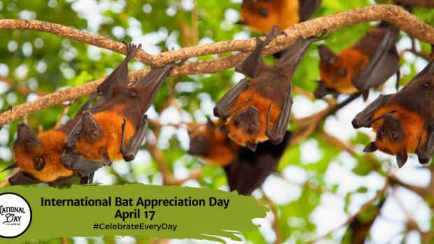 April 17 - National Day Calendar