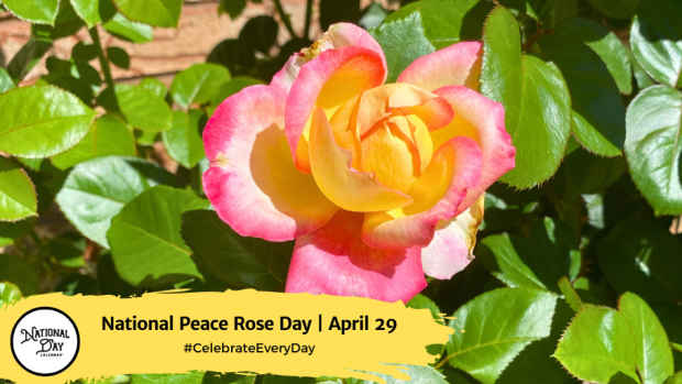 April 29 - National Day Calendar