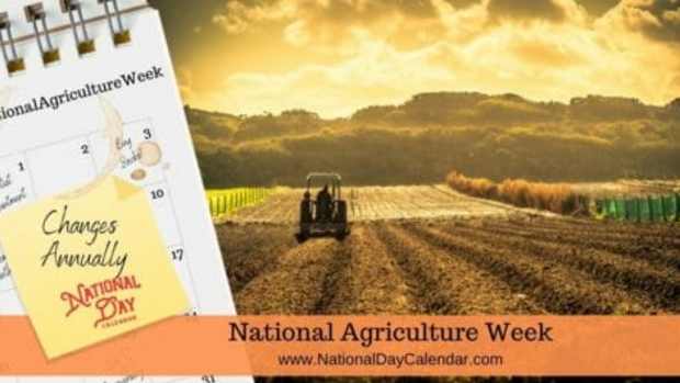 March Weeks - National Day Calendar