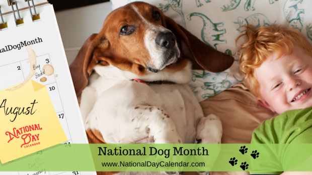 August Month - National Day Calendar