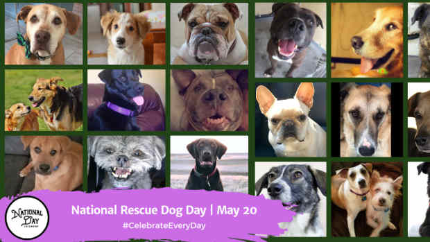 May 20 - National Day Calendar