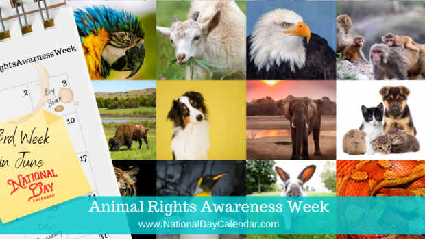 June Weeks - National Day Calendar