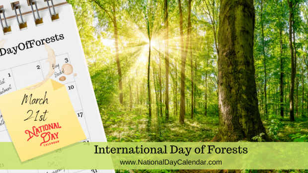 March - National Day Calendar