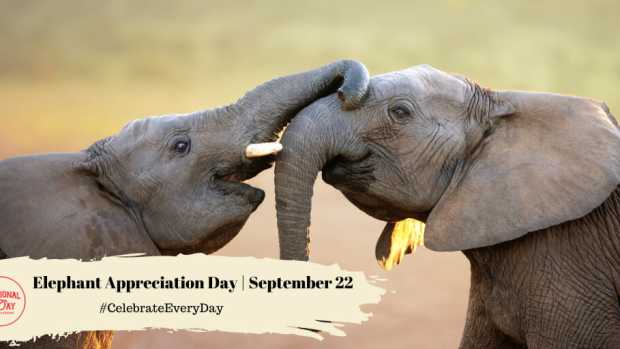 September 22 - National Day Calendar