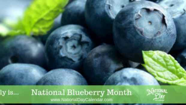 July Month - National Day Calendar