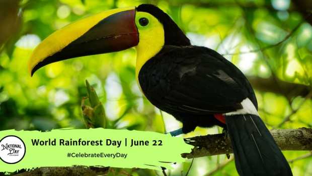 June 22 - National Day Calendar