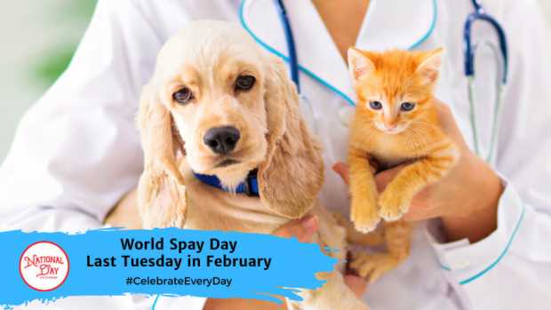 February - National Day Calendar