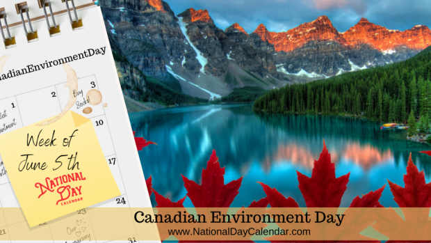 June Weeks - National Day Calendar