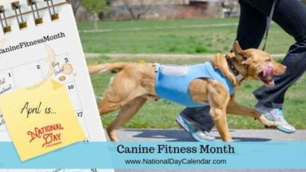 April Month - National Day Calendar