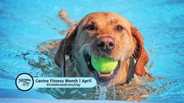 April Month - National Day Calendar