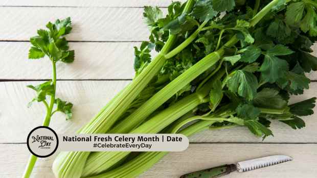 April Month - National Day Calendar