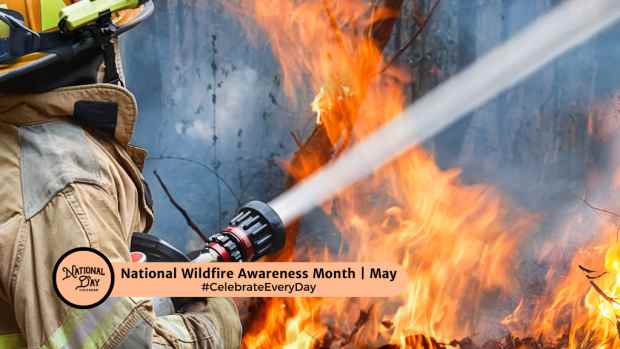 May Month - National Day Calendar