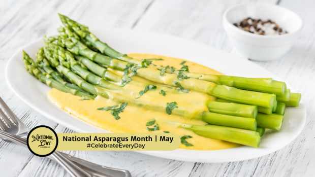 May Month - National Day Calendar