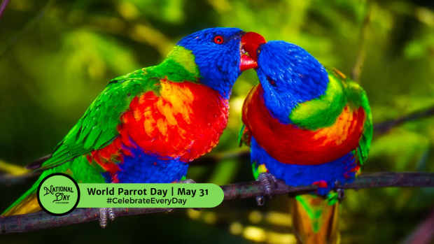 May - National Day Calendar