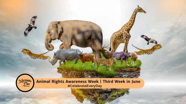 June Weeks - National Day Calendar