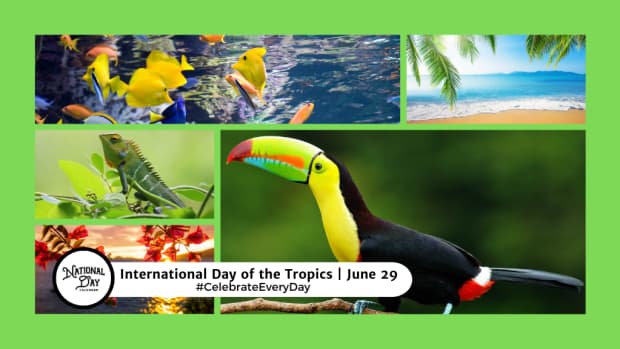 June - National Day Calendar