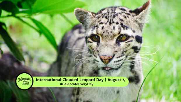 August - National Day Calendar