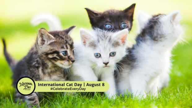 August - National Day Calendar