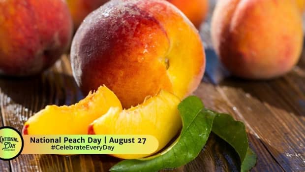 August 27 - National Day Calendar August 27 - National Day Calendar